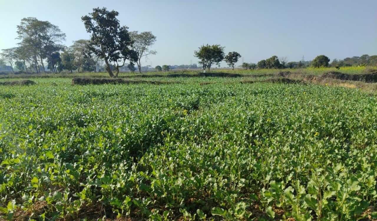 Gallery - Purulia Protigya Foundation
